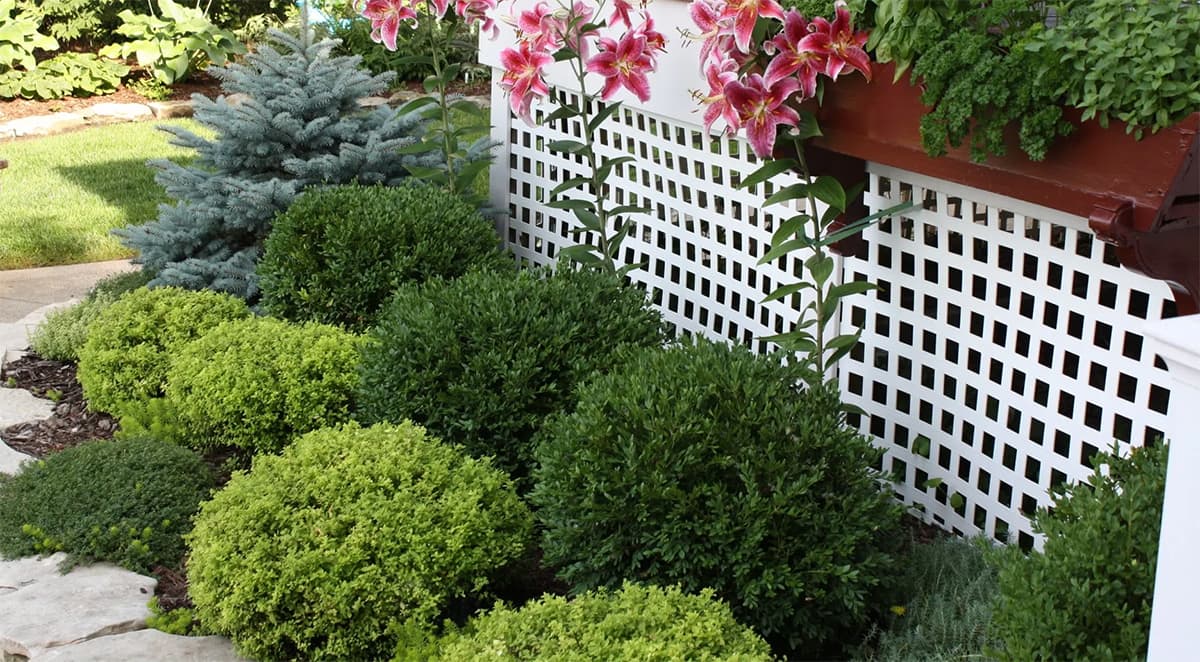 Greenleaf Landscaping | Rooted & Grounded In Love and Faith | Greenleaf, WI